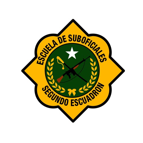 Parche Escudo Escuadrones Esucar (Opciones) Carabineros